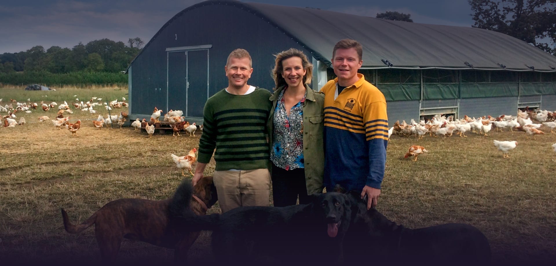 Free Range Chicken - Fosse Meadows Farm - Delivered